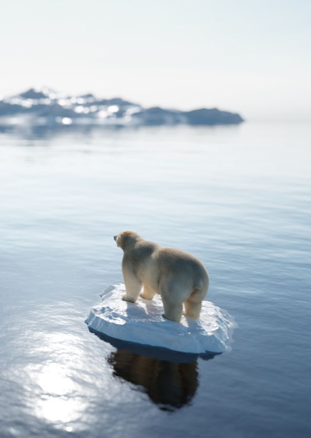 Nesli Tükenme Tehlikesinde Olan Canlılar
